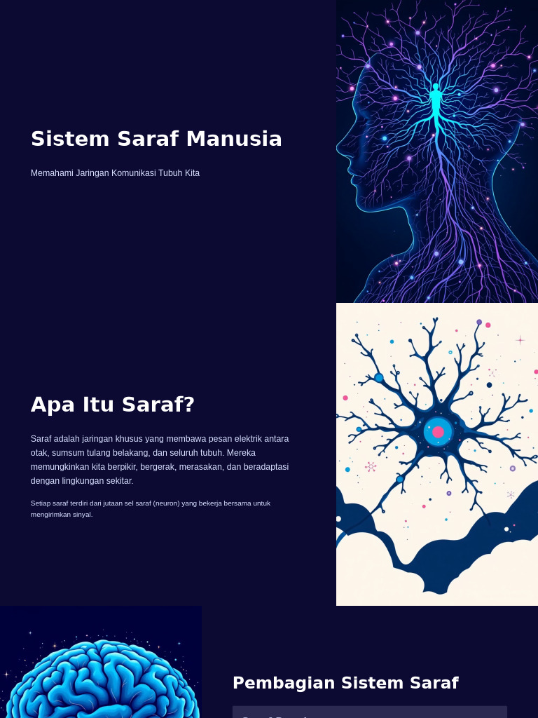 Sistem Saraf Manusia | PDF