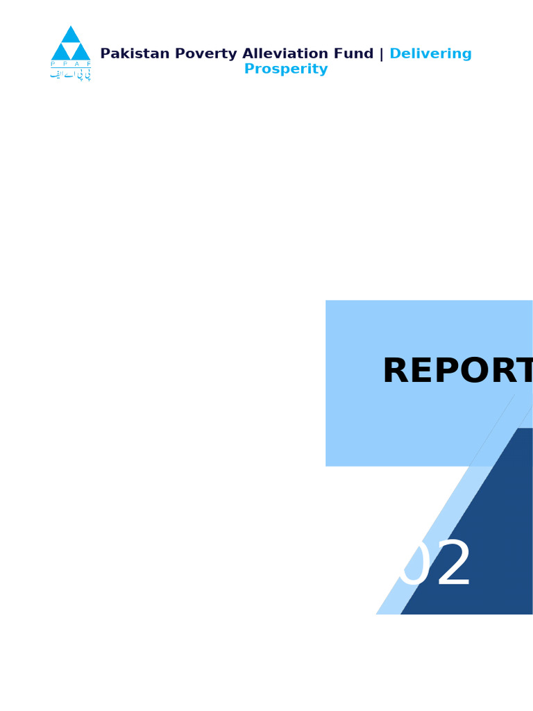 Pakistan Poverty Alleviation Fund Report | PDF