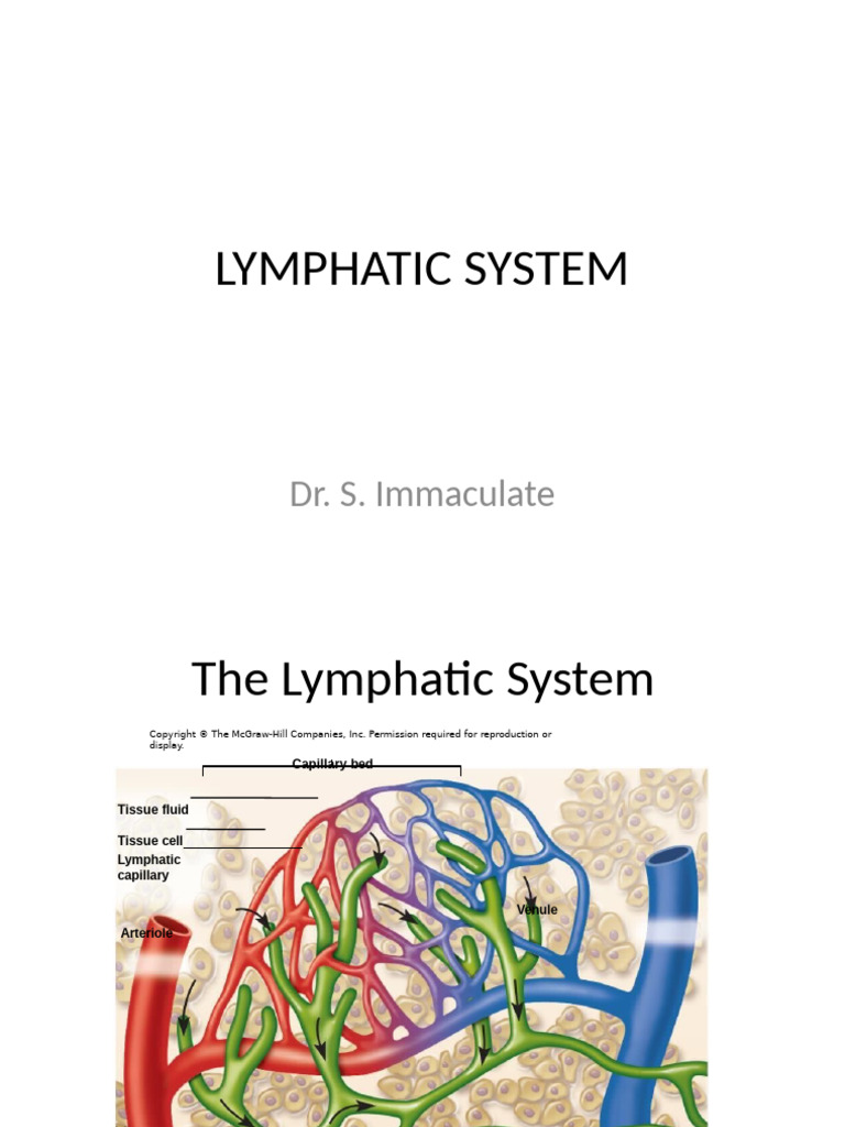 Lymphatic System | PDF | Lymphatic System | Lymph