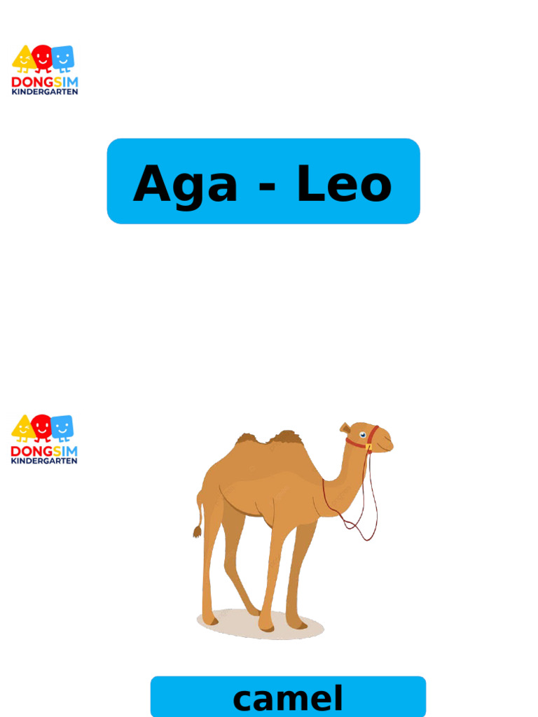 Flashcard May | PDF