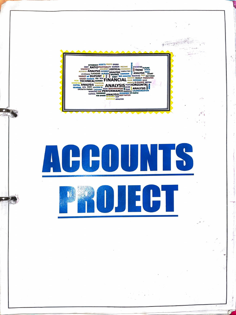 Accounts Project File | PDF