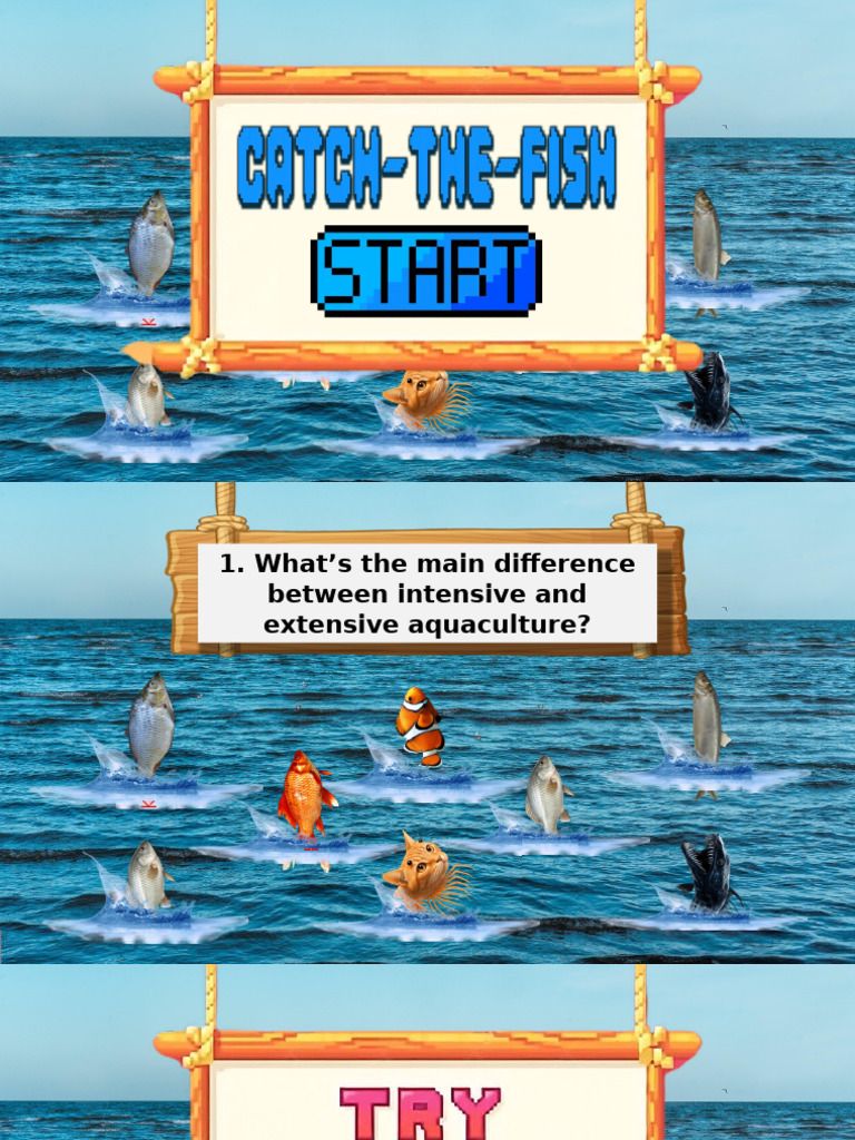 Group 4 Tle Presentation | PDF