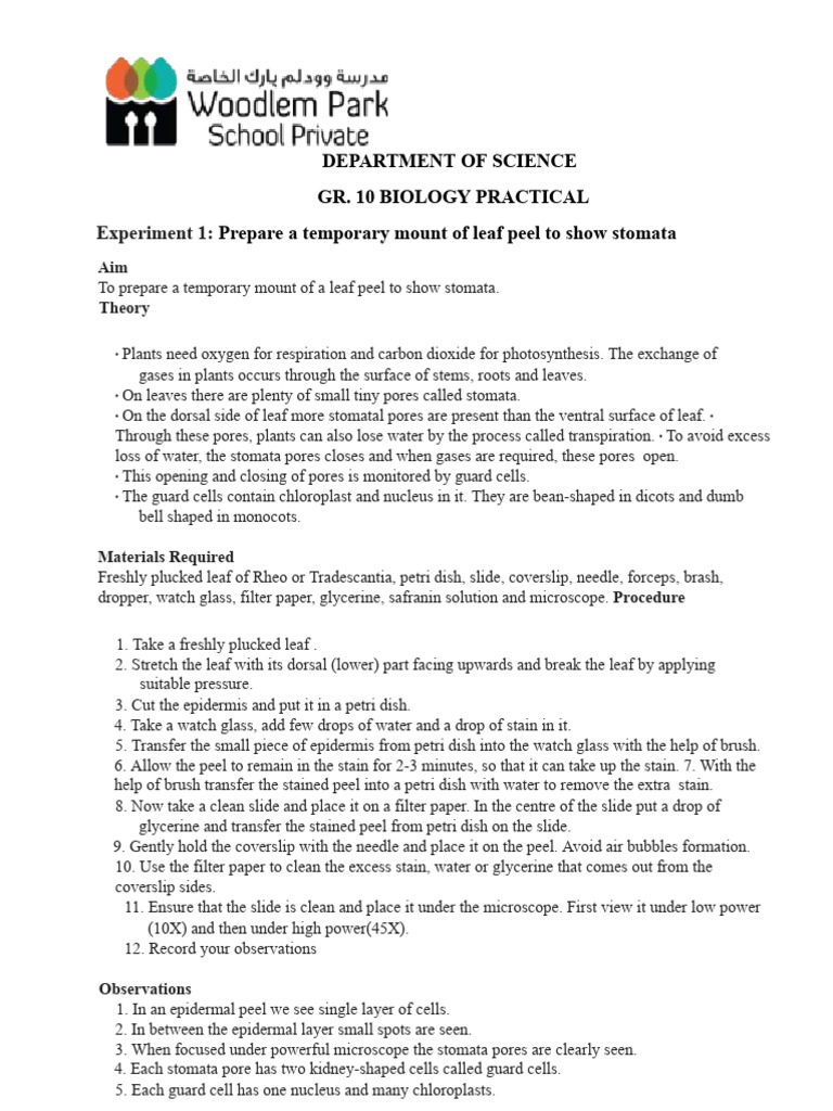 Grade 10 Biology Practical Experiments | PDF | Stoma | Leaf