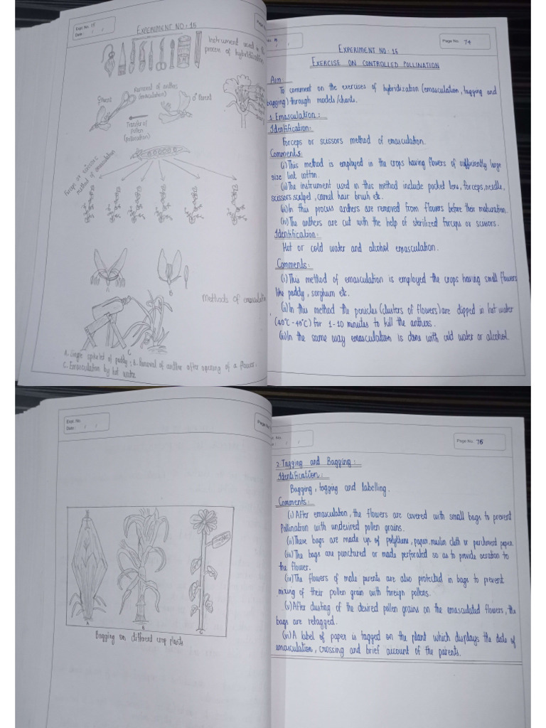 Bio Experiment 15 | PDF