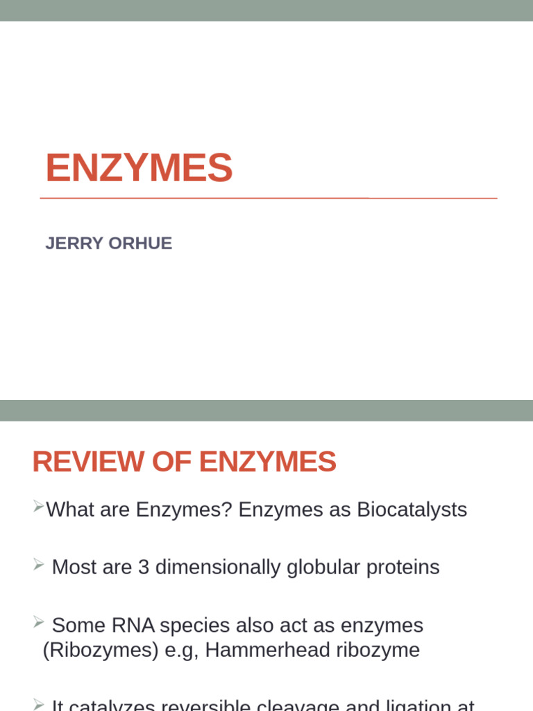 Lecture Notes On Enzymes | PDF | Cofactor (Biochemistry) | Enzyme