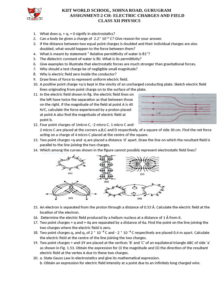 Class XII Physics: Electric Charges Assignment | PDF | Electric Field ...