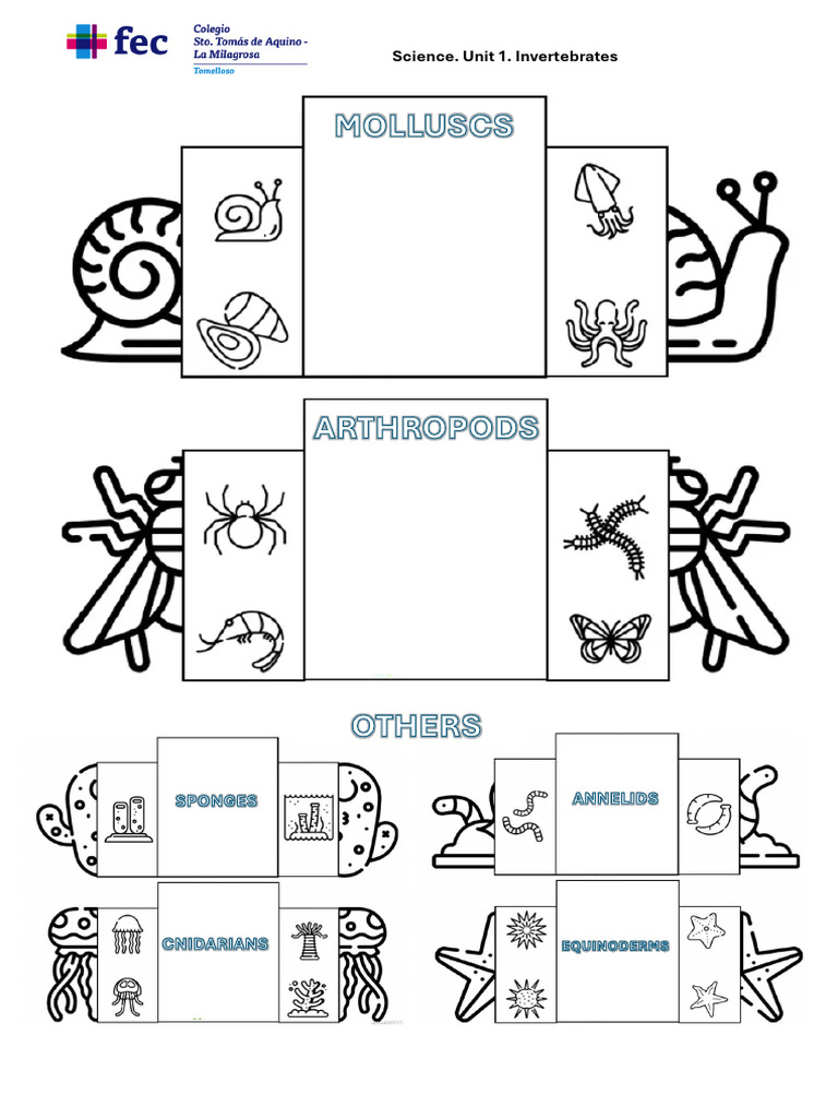 Invertebrates Flipbook | PDF
