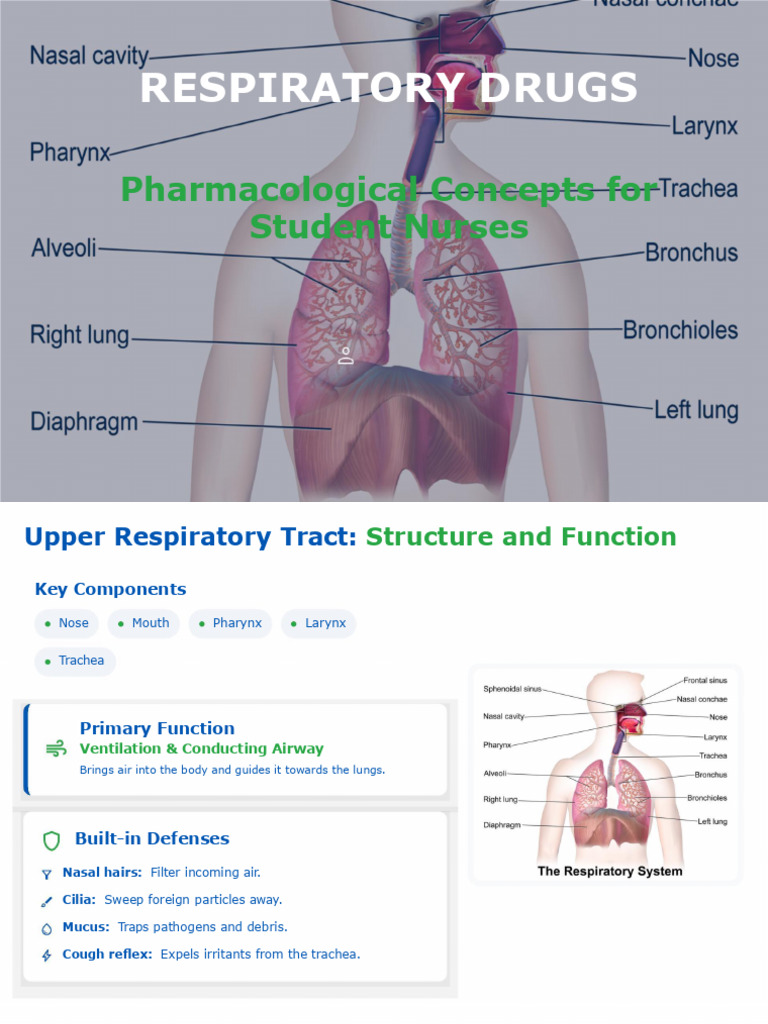 Respiratory Drugs for Nursing Students | PDF | Respiratory Tract ...