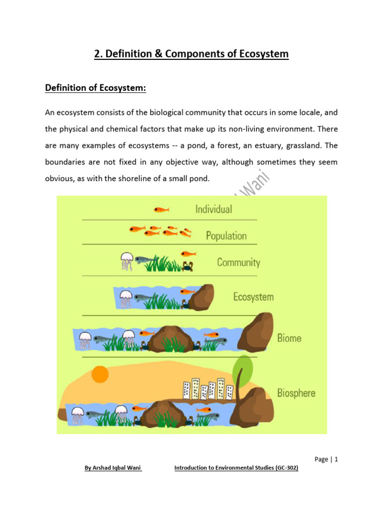 Definition & Components of Ecosystem | PDF | Ecosystem | Herbivore