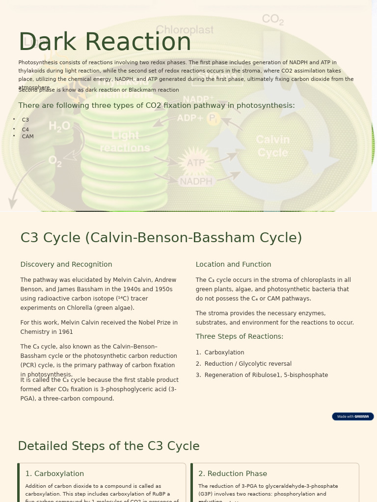 Photosynthesis: C3, C4, and CAM Pathways | PDF | Photosynthesis | Chemistry