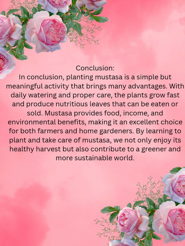Expository Essay Planting Mustasa Introduction Planting Mustasa, Also ...