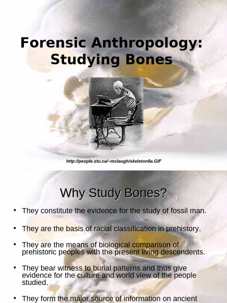 Forensic Anthropology: Bone Analysis Guide | PDF | Race (Human ...