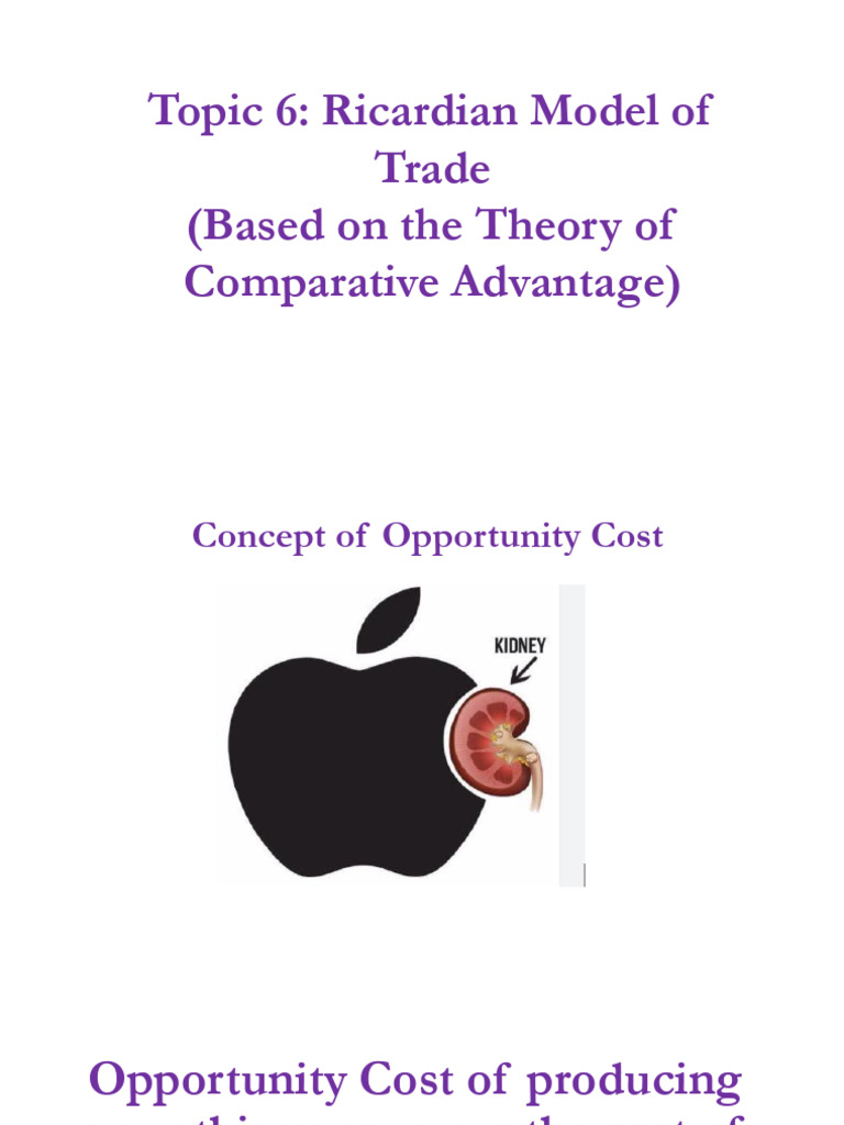 Topic 6 - Ricardian Model | PDF | Comparative Advantage | Microeconomics