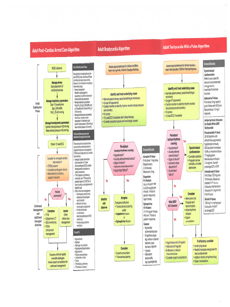 Acls Algorithms Back | PDF