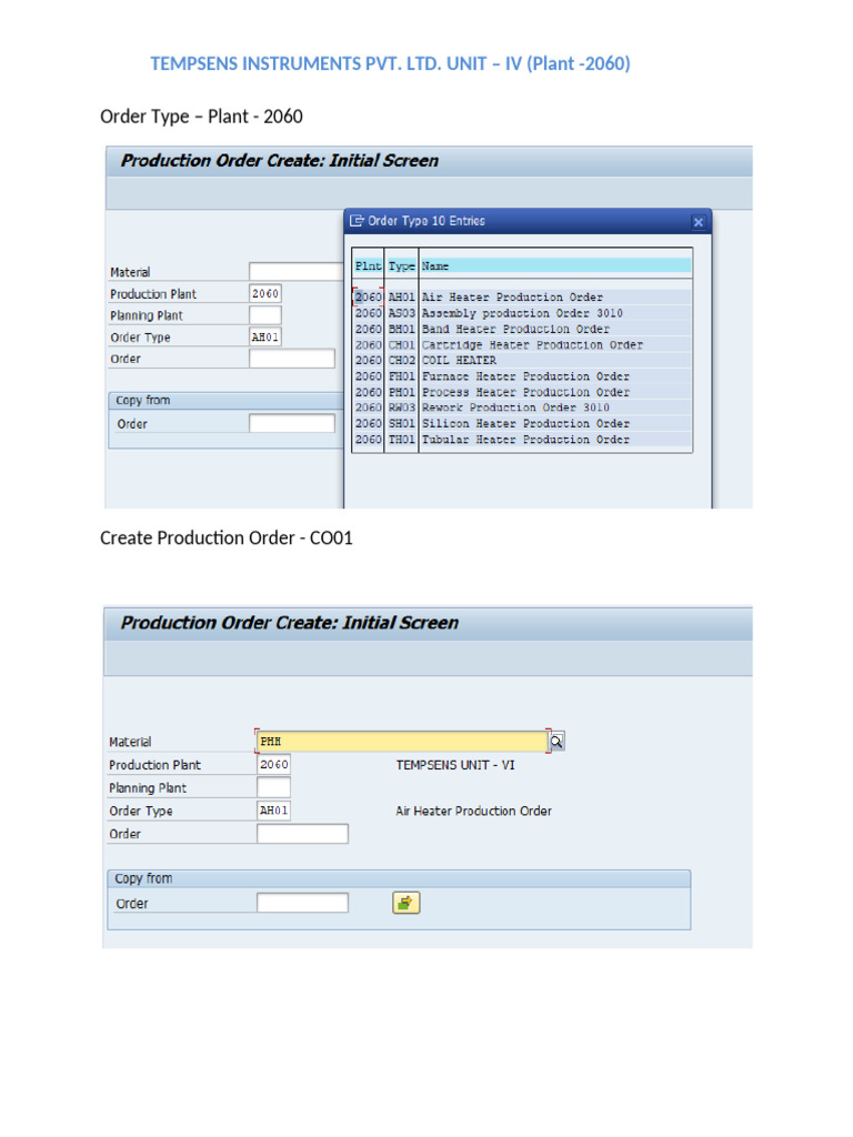Production Order Type Configuration TEMPSENS | PDF