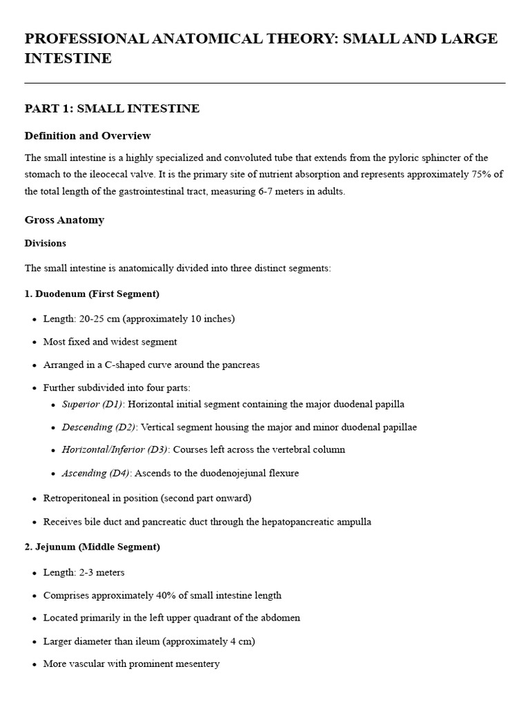 Anatomy of Small and Large Intestine | PDF | Large Intestine | Small ...