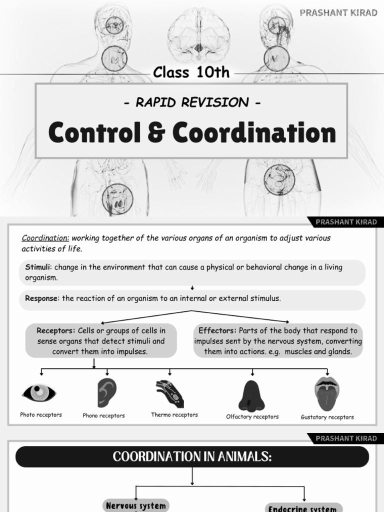 Control Coordination | PDF
