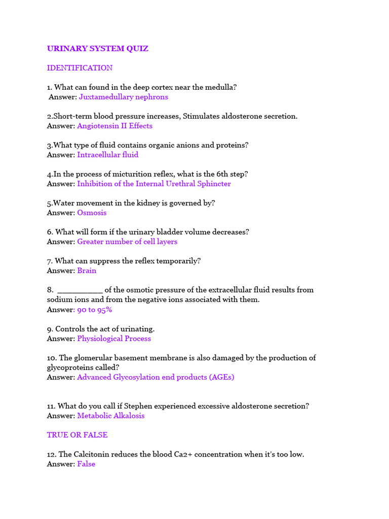 Urinary System Quiz | PDF