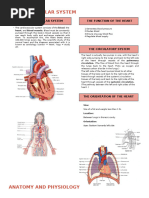 Heart Anatomy | PDF