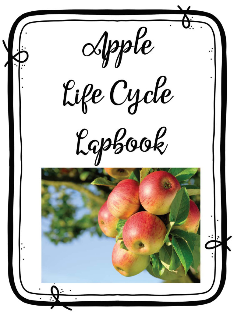 Apple Life Cycle Lapbook A | PDF