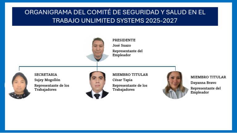 Organigrama Del Comité de SST | PDF