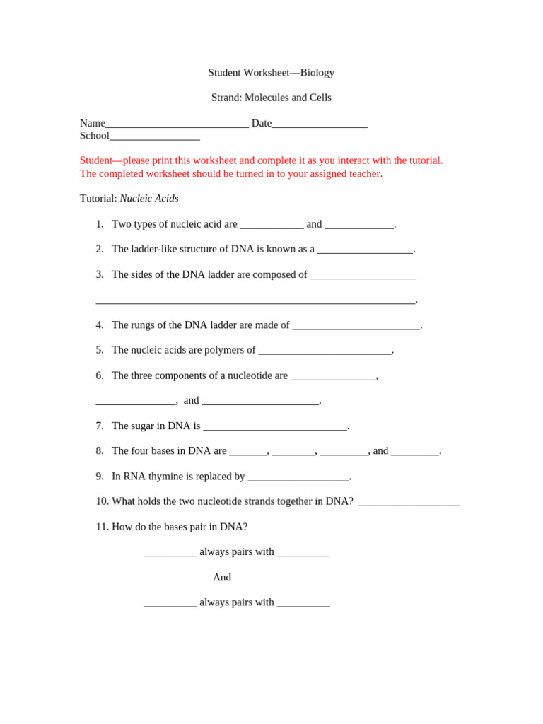 Student Worksheet For Nucleic Acids | PDF