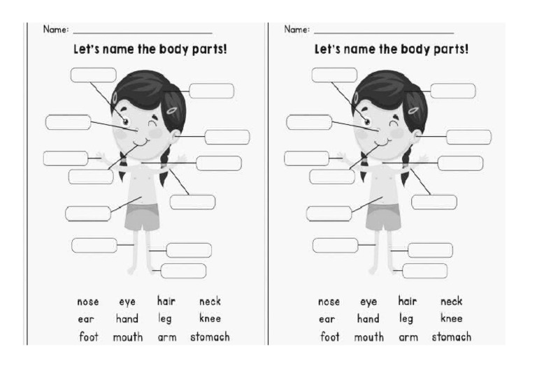 Let's Name The Body Parts! | PDF