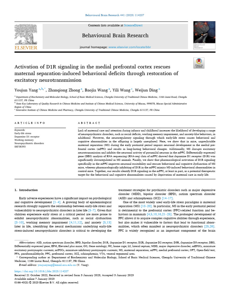 (Yang Et Al., 2023) Activation of D1R Signaling in the MPFC Rescues MS-Induced Behavioral ...