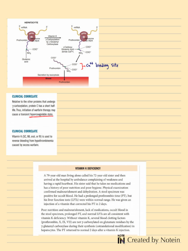 First Aid For The USMLE Step 1 2024, 34th Edition | PDF