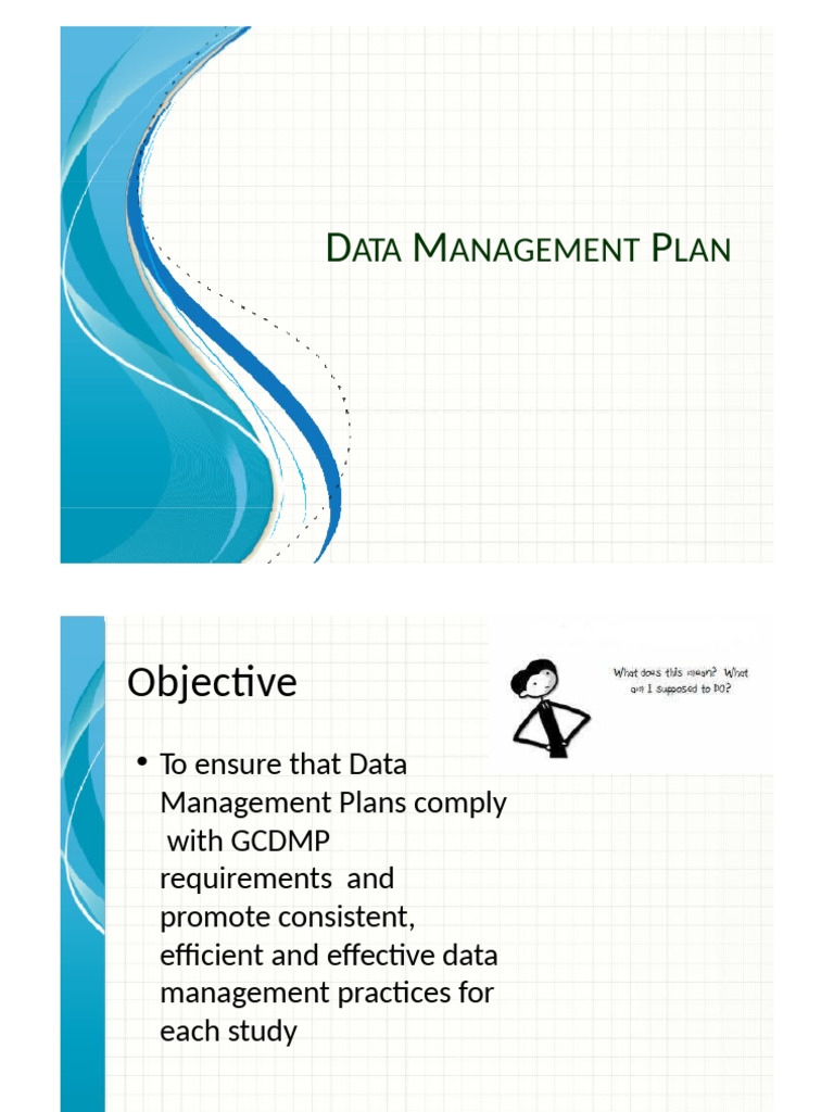 4 Data Management Plan | PDF | Computing | Information Technology
