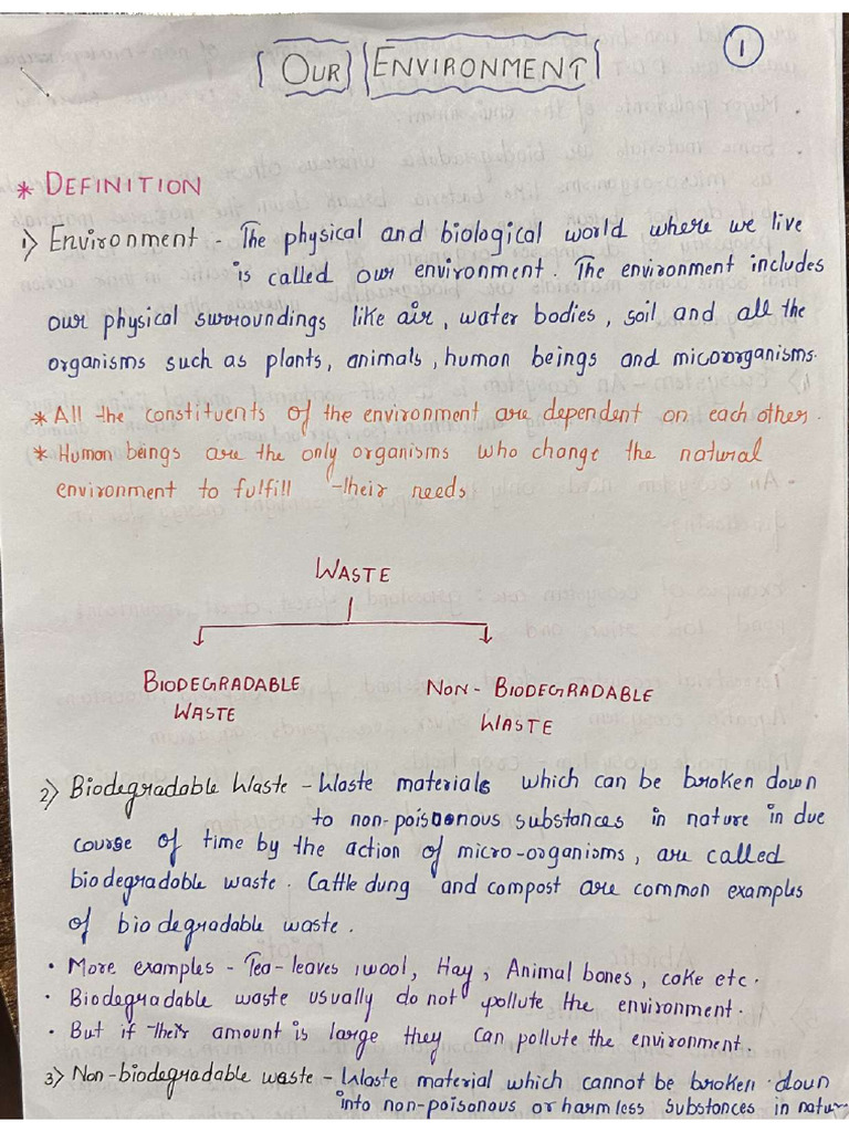 Our Environment Handwritten Notes | PDF