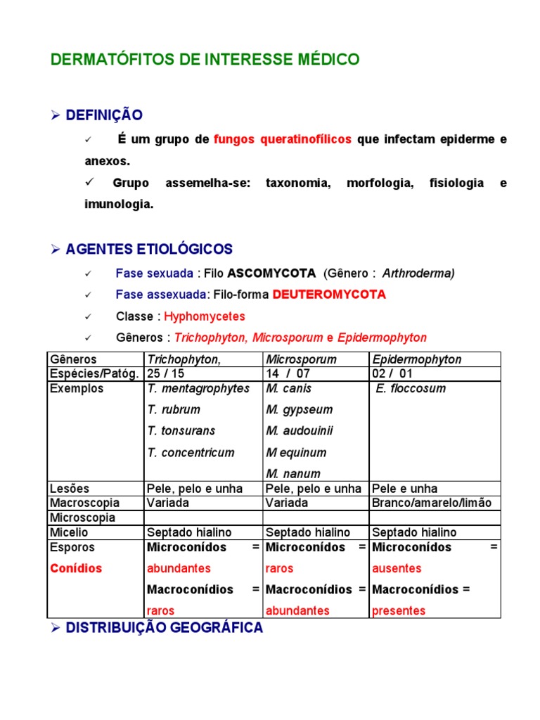 Dermatófitos: Importância Médica e Tratamento | PDF | Fungo | Pele