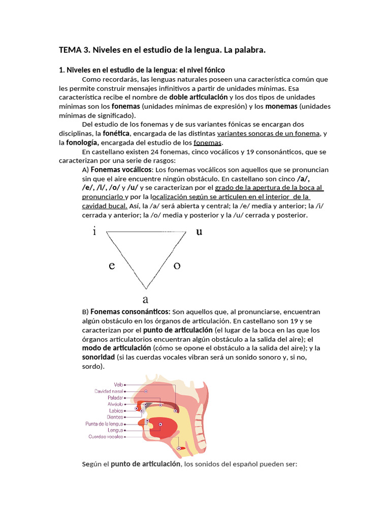 Tema 3 | PDF | Palabra | Fonema