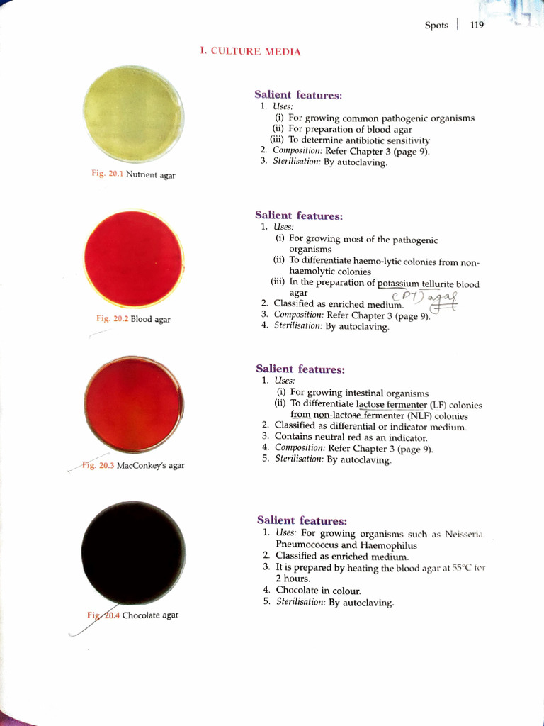 Micro Practical | PDF | Microbiology