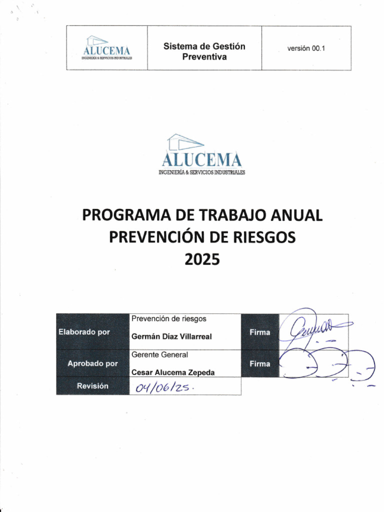 Programa de Trabajo Anual PR Alucema 2025 | PDF | Seguridad y salud ...
