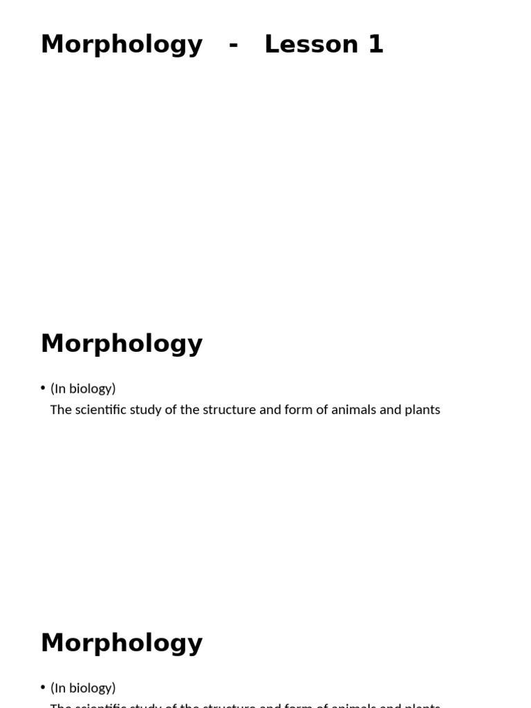 Morphology 8211 Lesson 1 | PDF | Word | Morphology (Linguistics)