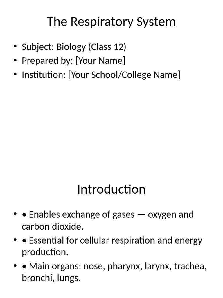 Respiratory System Presentation | PDF | Respiratory System | Lung
