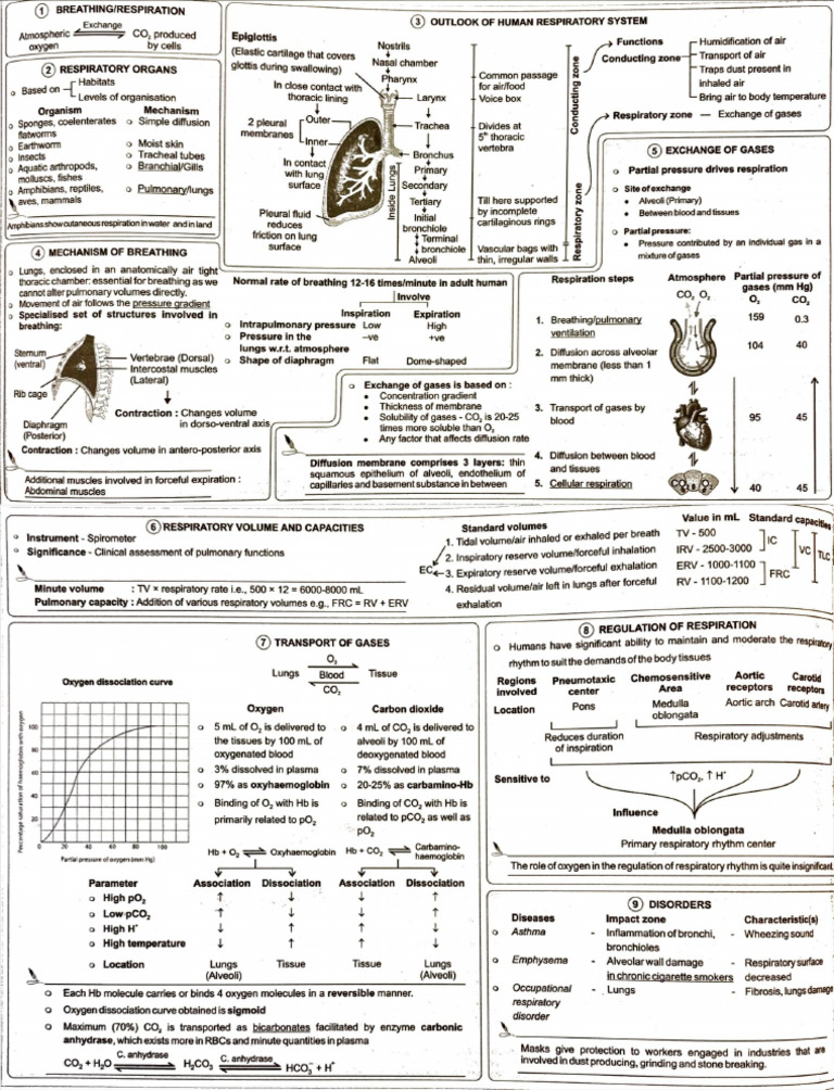 Breathing Map | PDF