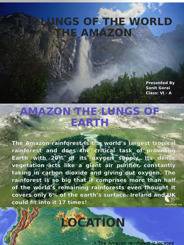 Geography Project - Sonit Gorai | PDF | Amazon Rainforest | Deforestation