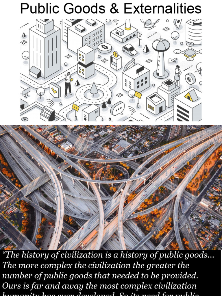 Public Goods and Externalties | PDF | Public Good | Externality