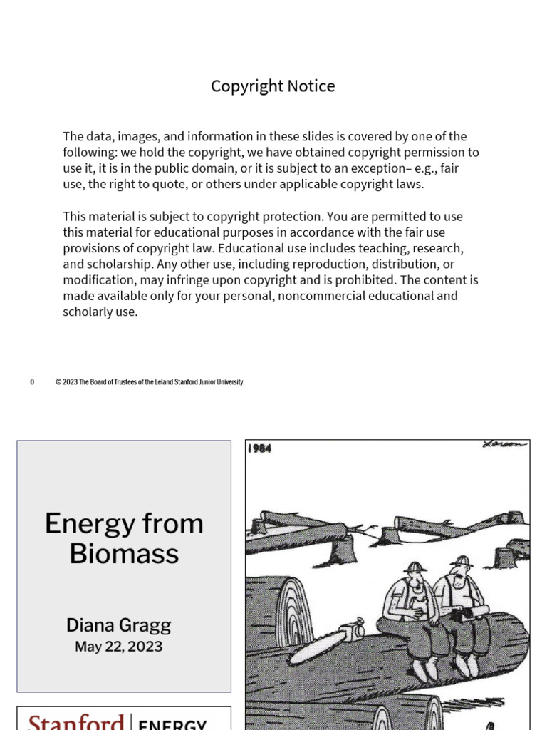 Biomass Lecture (Slides) 230522 | PDF | Biofuel | Biogas
