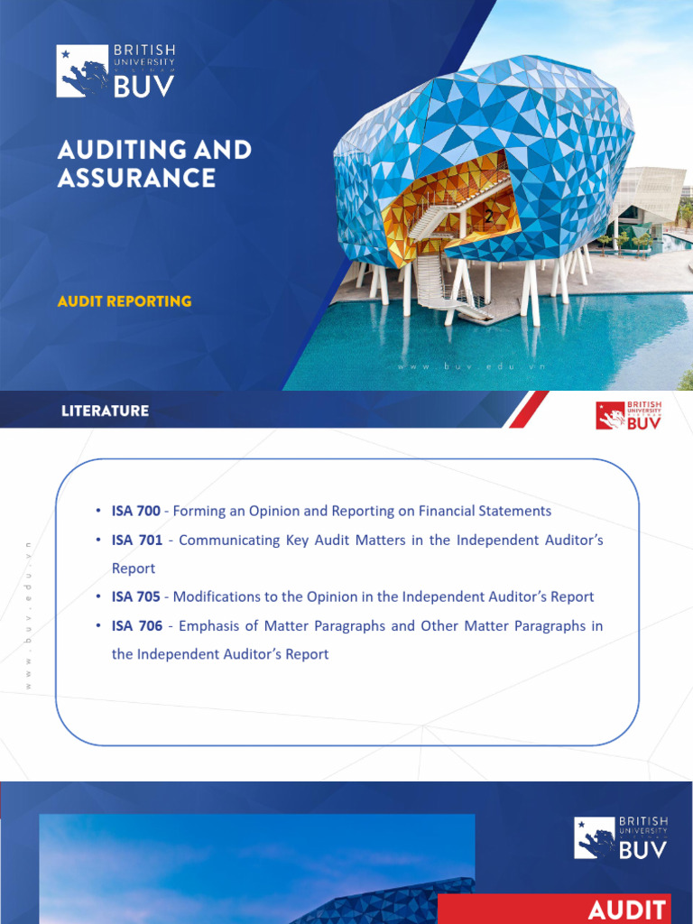 Understanding Auditor Reports and Standards | PDF | Auditor's Report ...