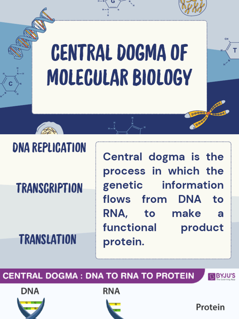Central Dogma of Molecular Biology | PDF | Rna | Dna