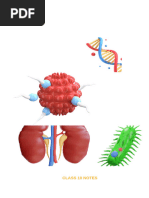 Class 10 Life Processes Notes | PDF | Cellular Respiration ...