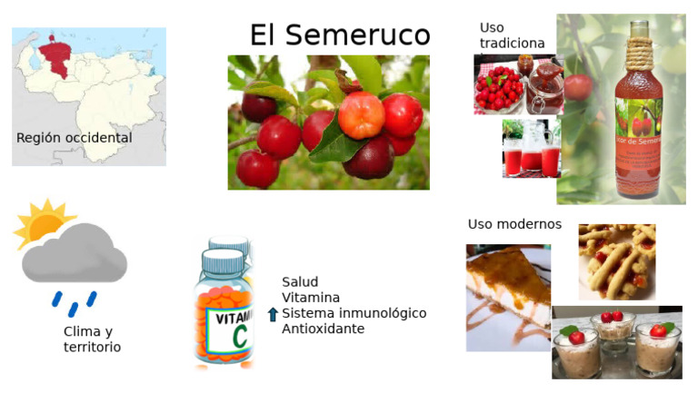 Semeruco Presentacion | PDF