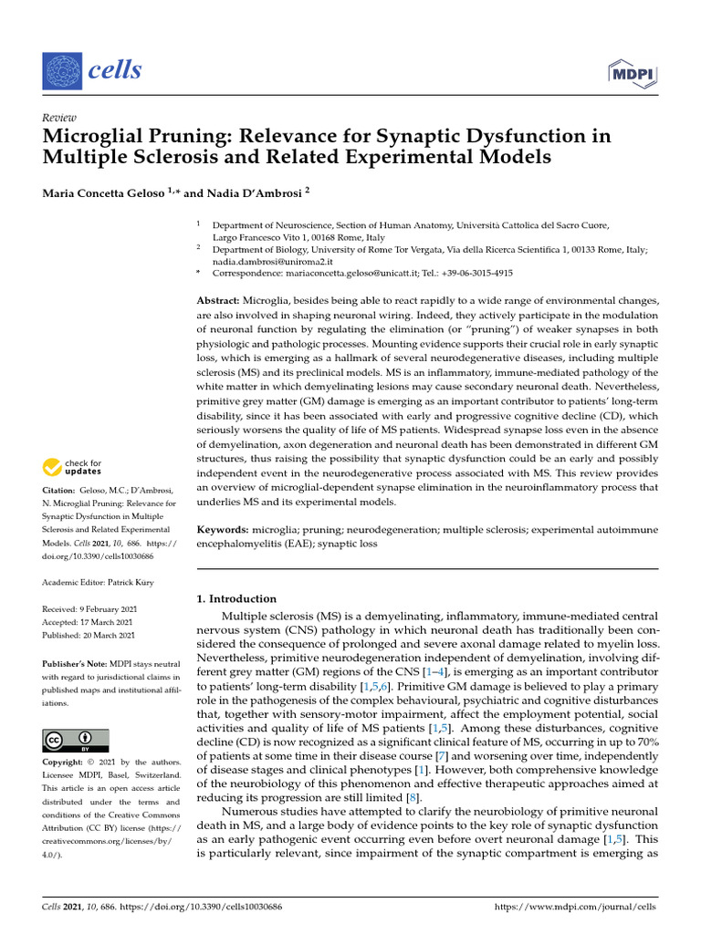 Microglial Pruning in Multiple Sclerosis | PDF | Synapse | Microglia