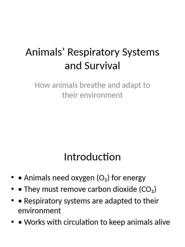 Animals Respiratory Systems | PDF
