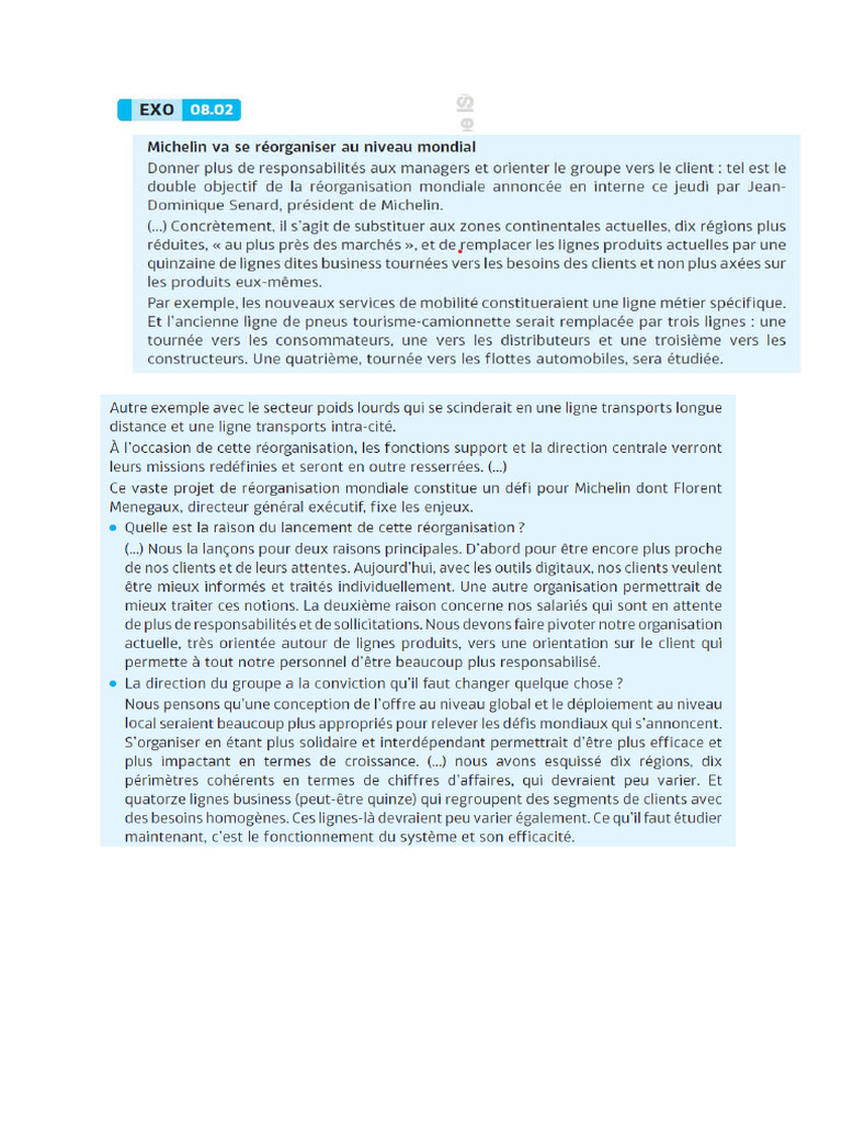Cas Michelin Structure Orga | PDF