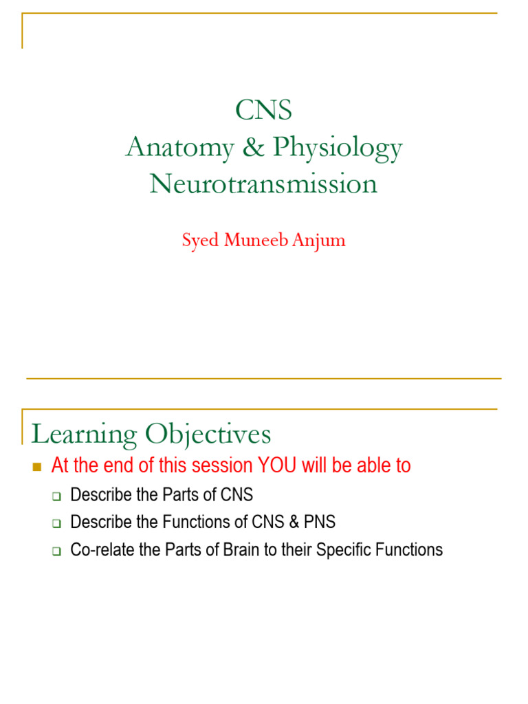 2-3-4 CNS - Anatomy & Physiology | PDF | Central Nervous System | Cerebrum