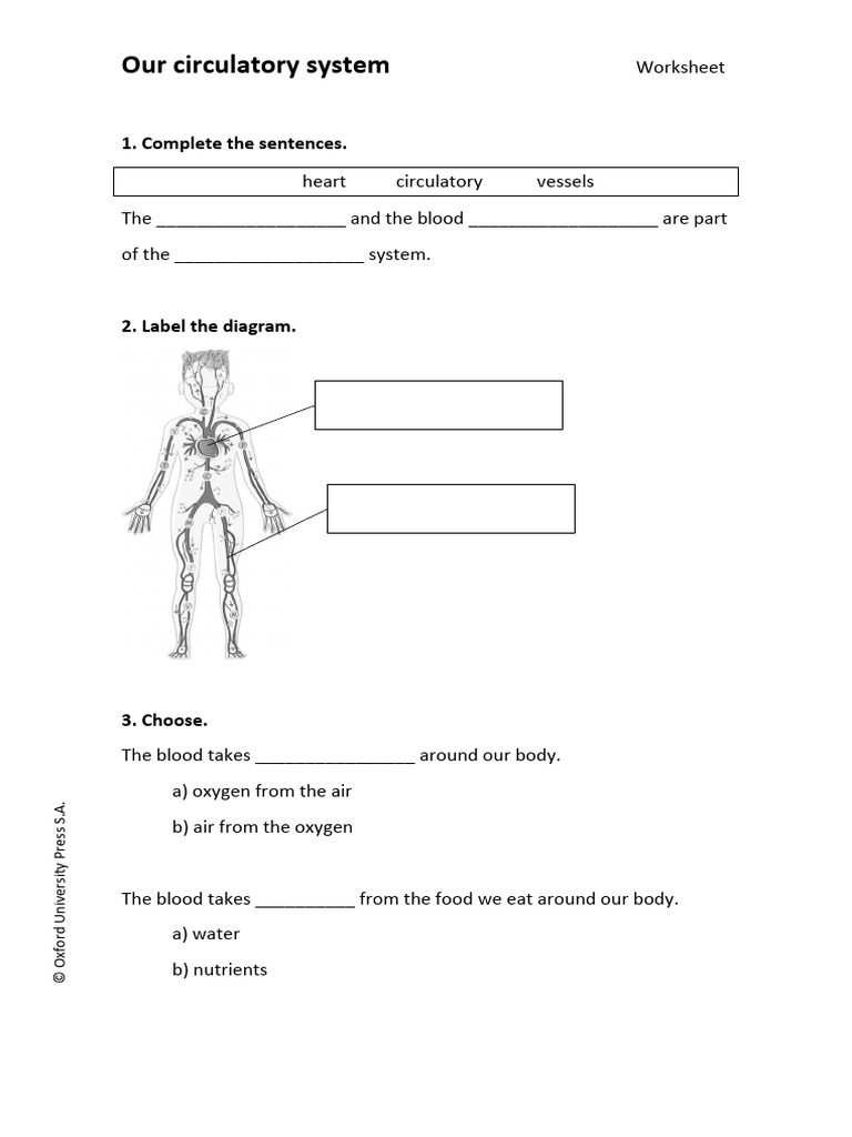 NS1 M1 Appendix Worksheet 2 | PDF